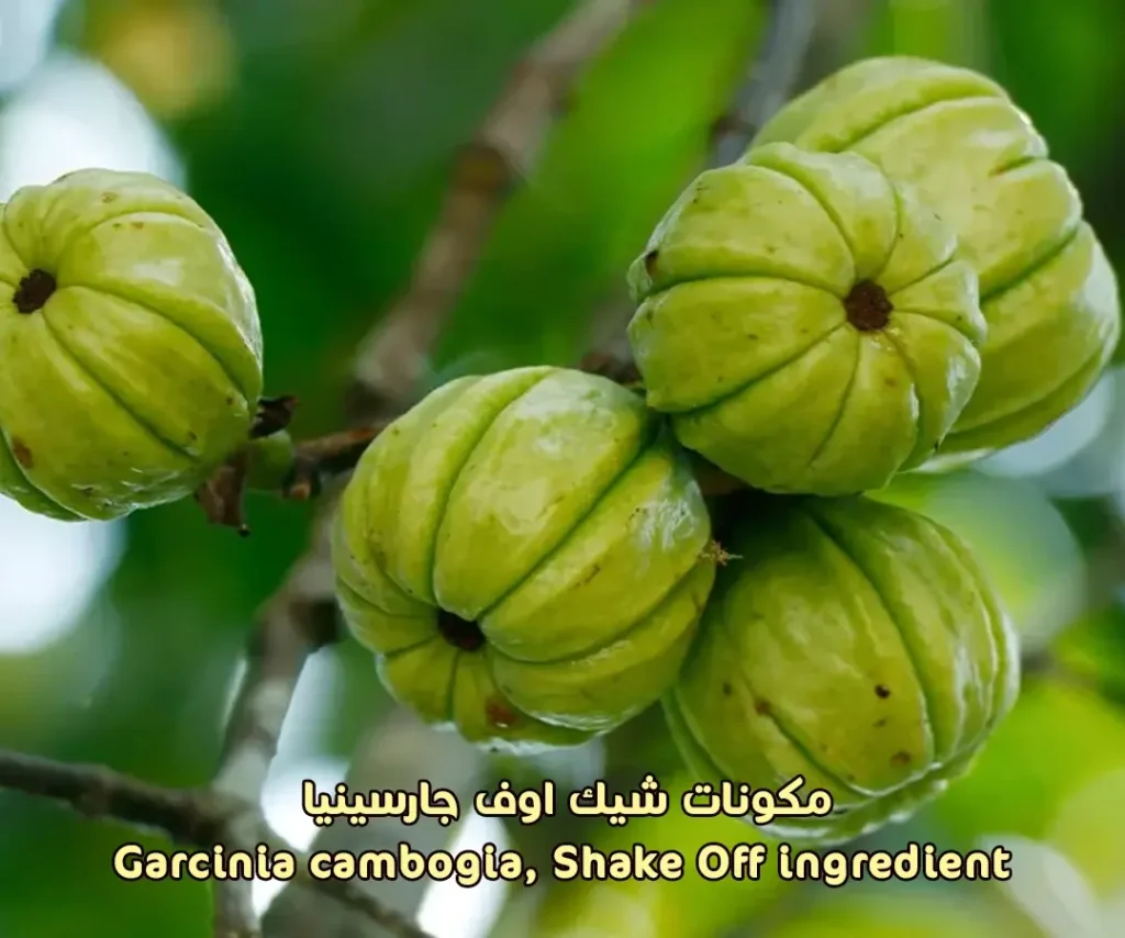 مكونات شيك اوف الطبيعية 🇰🇼 – شيك اوف الكويت